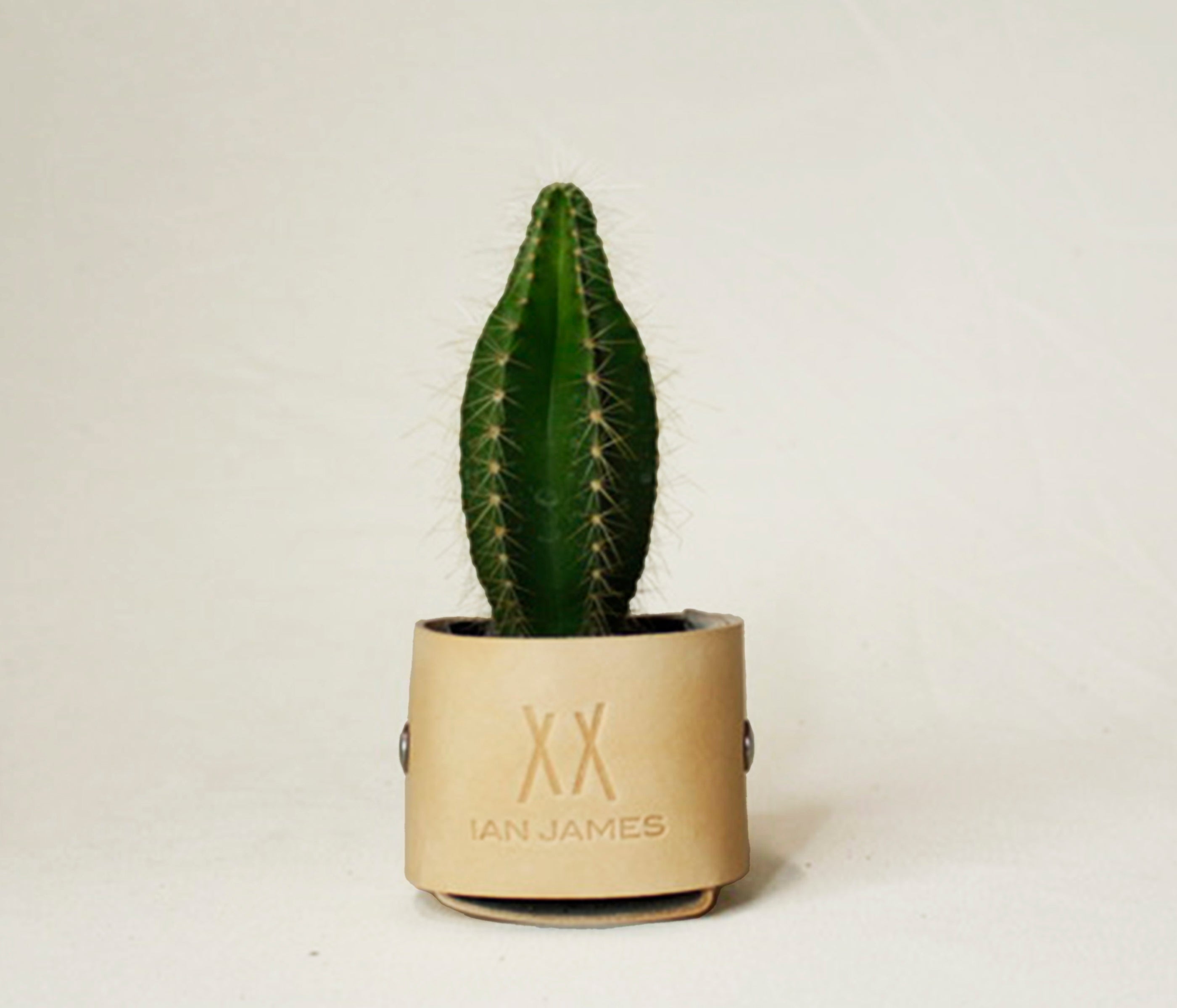 Handmade Leather Planters – Ian James